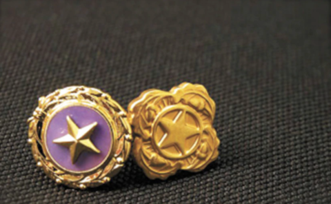 Gold Star Children’s Day - August 1, 2021! - SDIT - Sons and Daughters ...